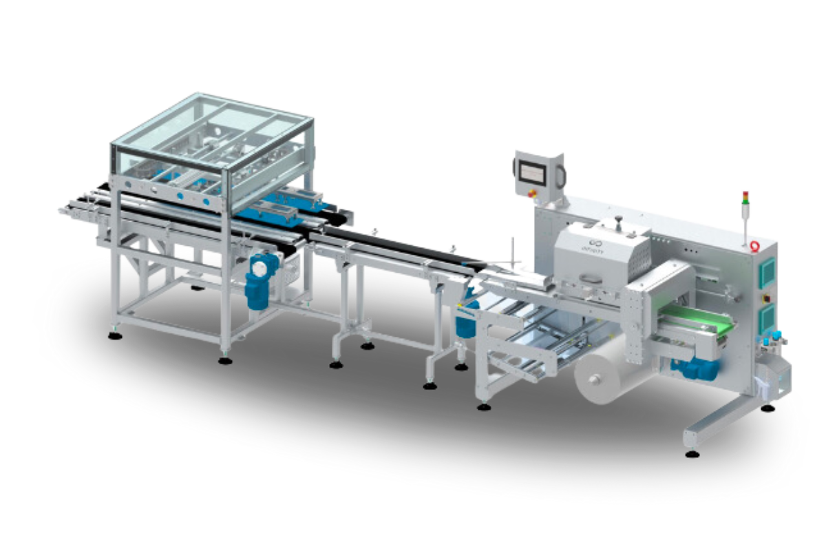 Secondary Packaging Automation Solutions - Bricspac Secondary Packaging Automation Solutions - Bricspac